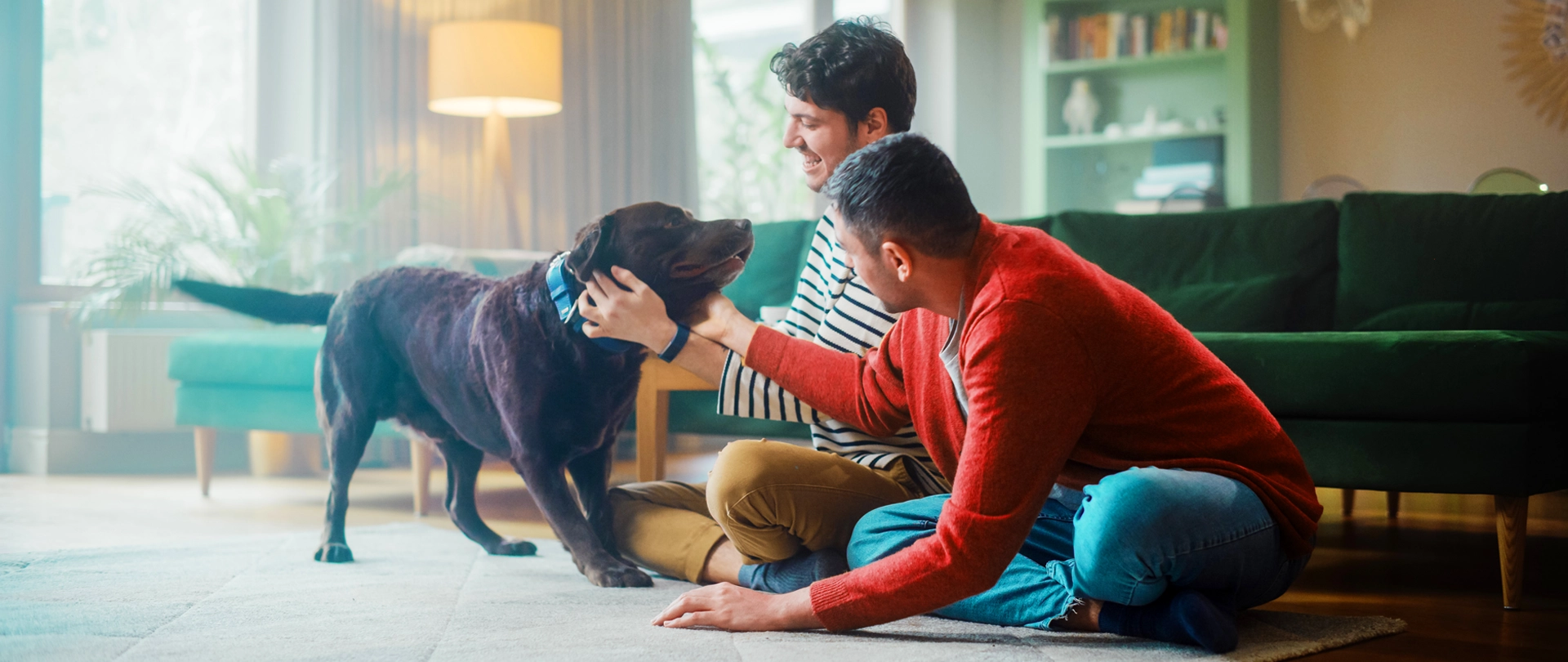 The costs to consider when getting a pet | P&N Bank